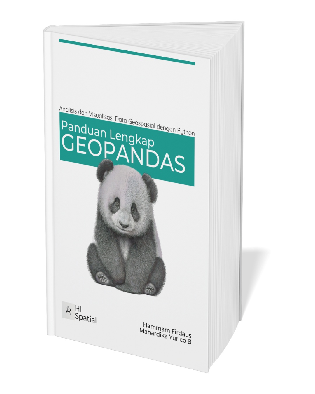 Panduan Lengkap GeoPandas: Analisis dan Visualisasi Data Geospatial ...