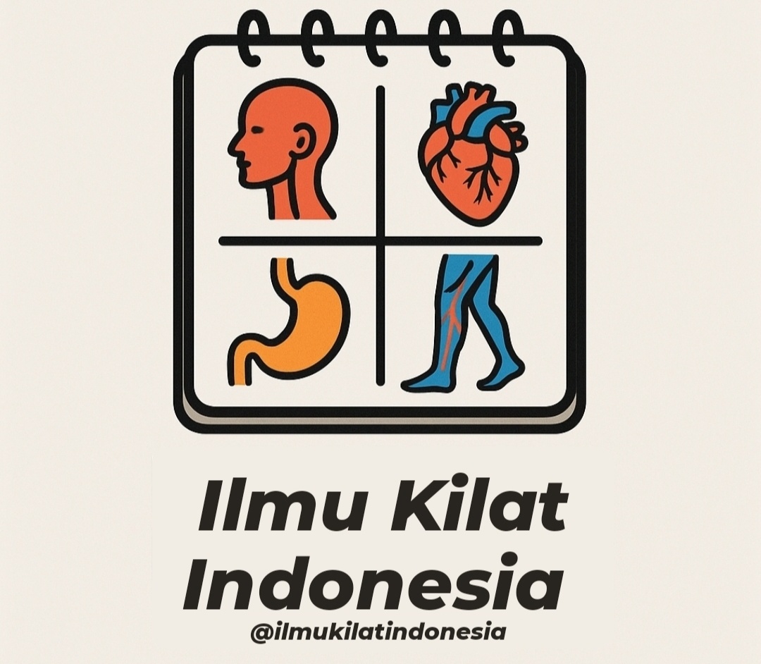 Poster Anatomi dan Poster Kedokteran untuk Klinik dan Dokter - Ilmu ...